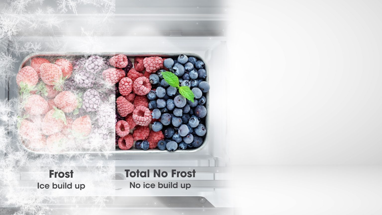 Hisense REF286DR 286L, Combi Defrost Fridge with Water Dispenser Bottom ...